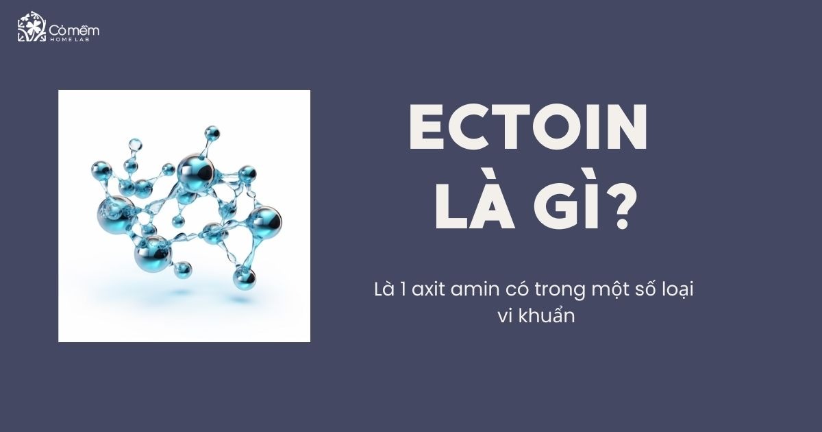 Ectoin là gì? Công dụng của Ectoin đối với làn da