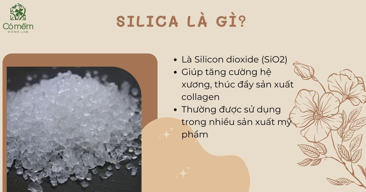 Silica là gì? Tìm hiểu tác dụng của Silica đối với làn da