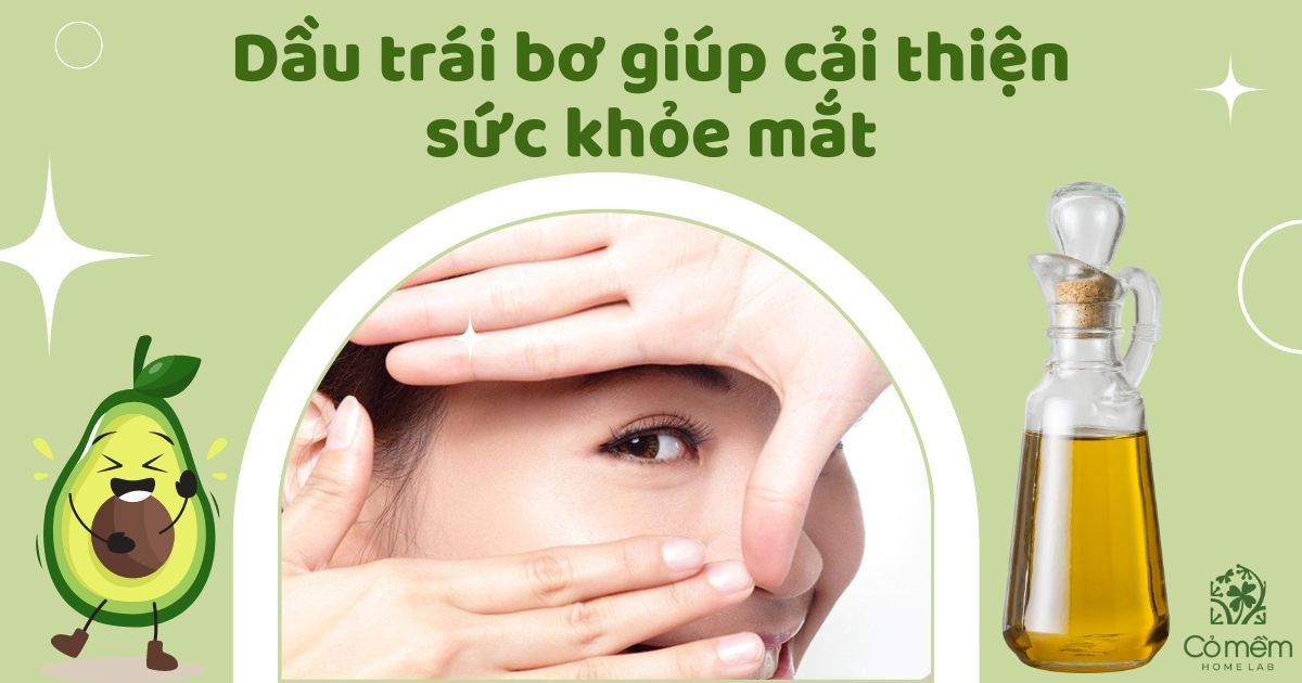 Dầu trái bơ là gì? Lợi ích của dầu trái bơ đối với sức khỏe