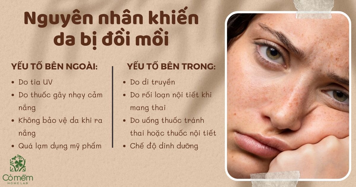 Những điều cần biết về da đồi mồi